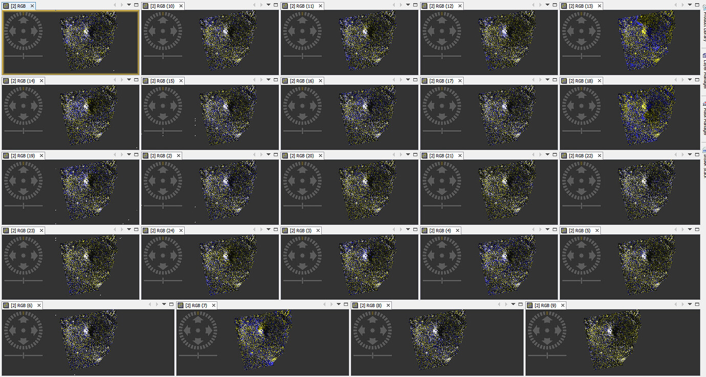 ERS-2 Coregistration Errors (java.lang.NullPointerException) and (java.lang ...
