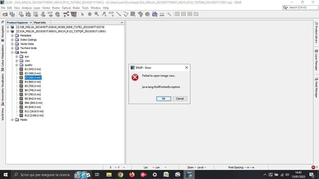 Failed to open image view, java.lang.NullPointerException - Problem ...